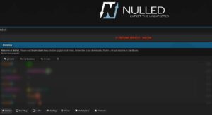 Top 10 Dark Web Forums - ThreatMon Blog